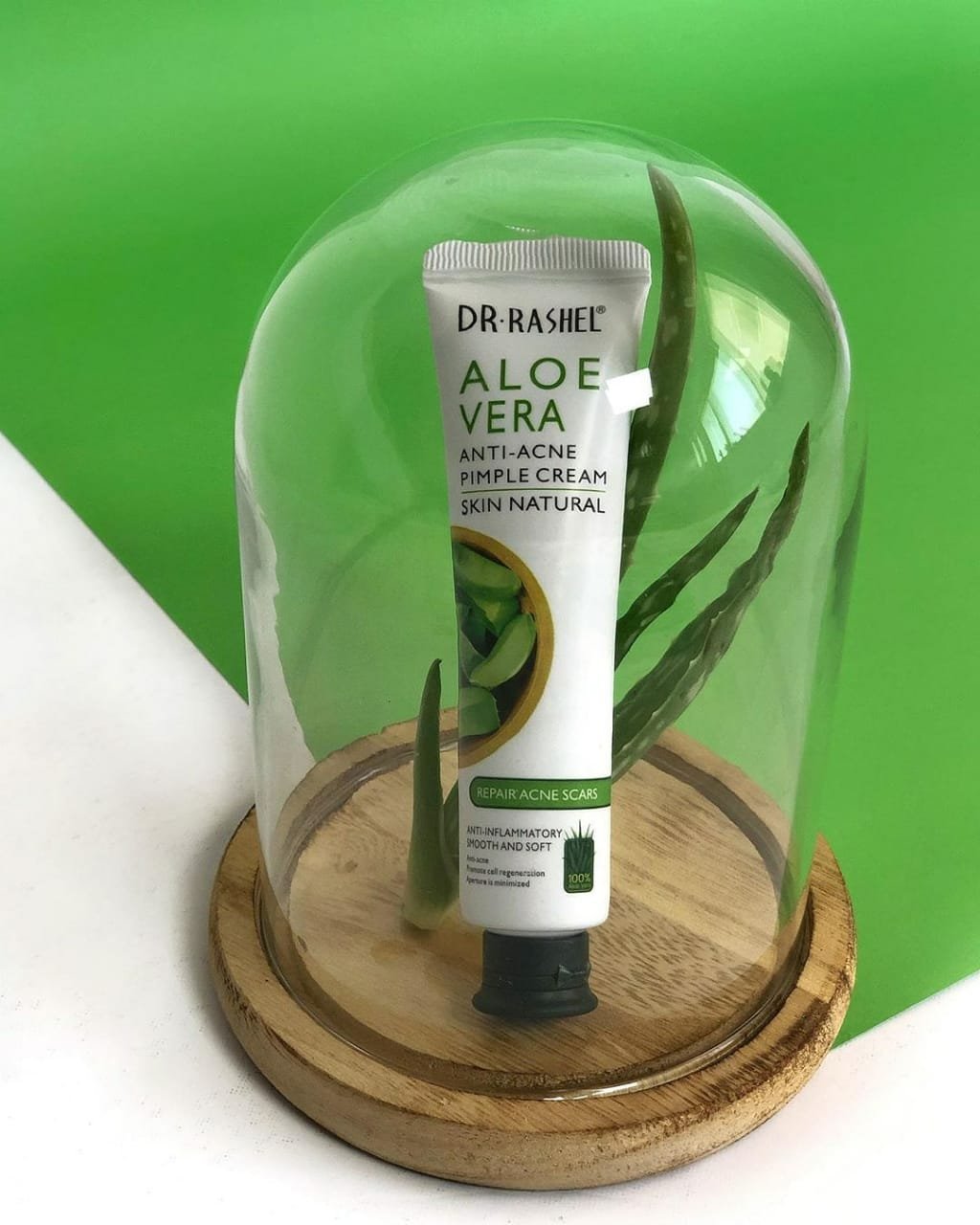 DR-RASHEL ALOEVERA ANTIACNE & PIMPLE CREAM